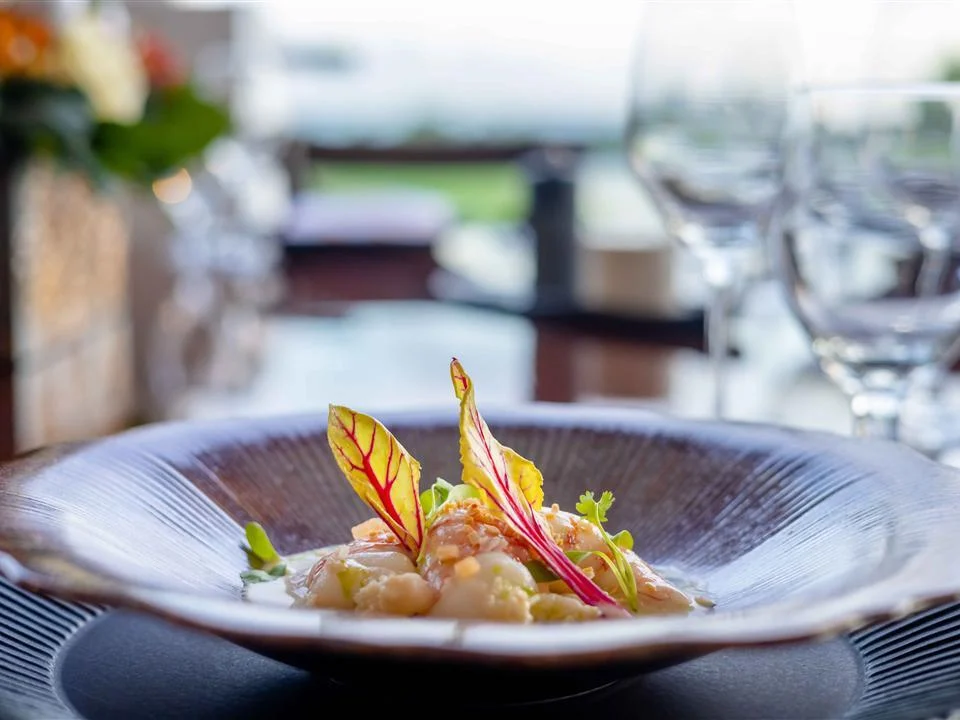 Dining | Anguilla Restaurants | Aurora Anguilla® Resort